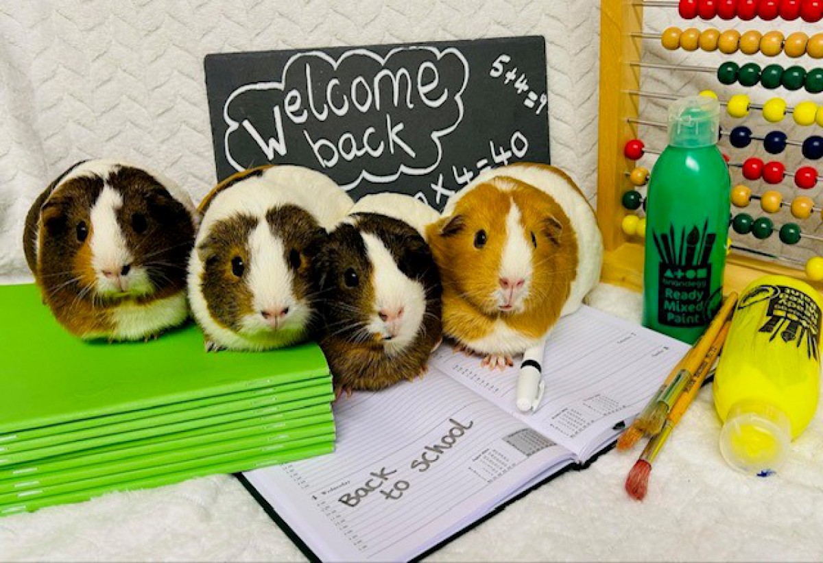 Thurlby Primary School